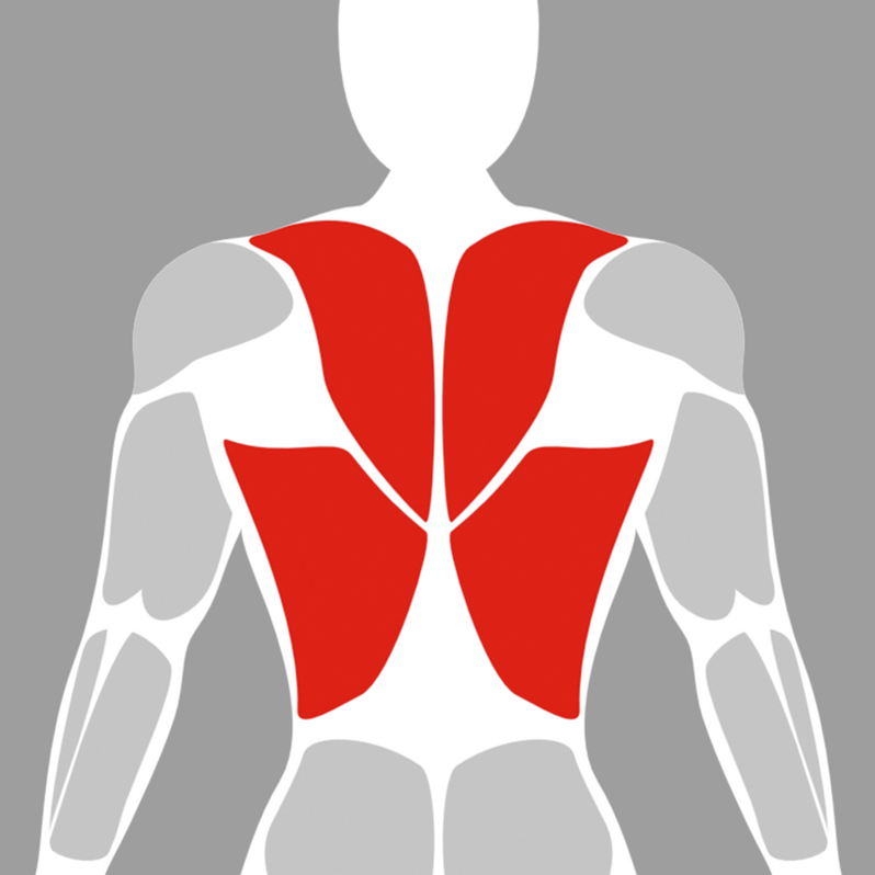 BATCA Fitness — Bandit Fitness Equipment