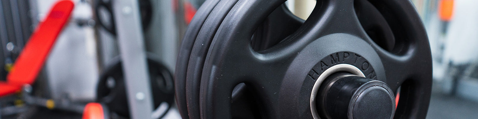 Shop Plate-Loaded Strength Machines in Clearwater FL — Bandit Fitness ...