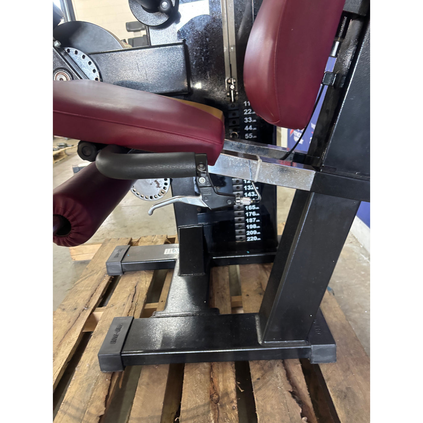 Used GervaSport Leg Curl — Bandit Fitness Equipment